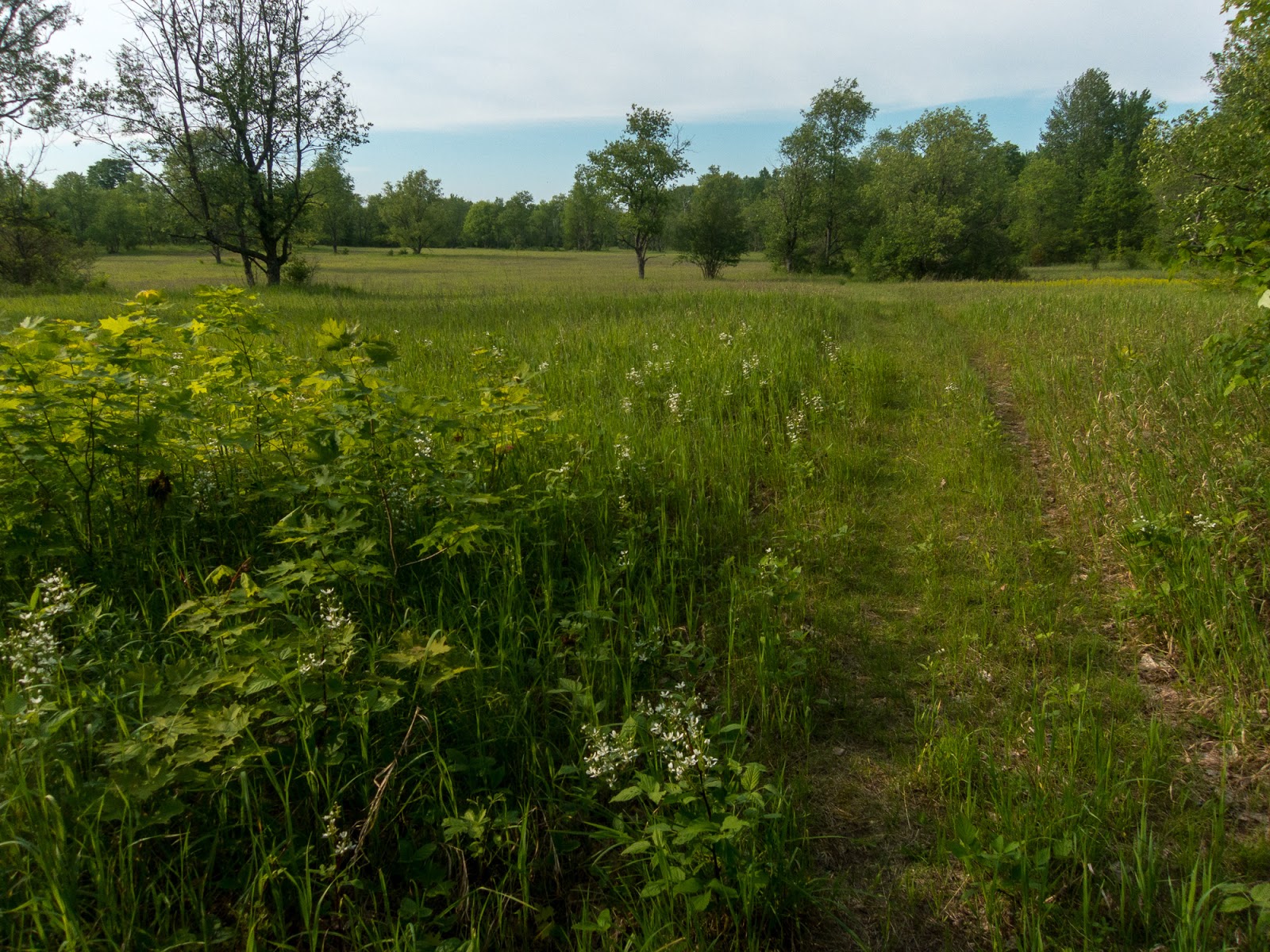 Eric's Hikes: Jordan River Pathway/NCT loop