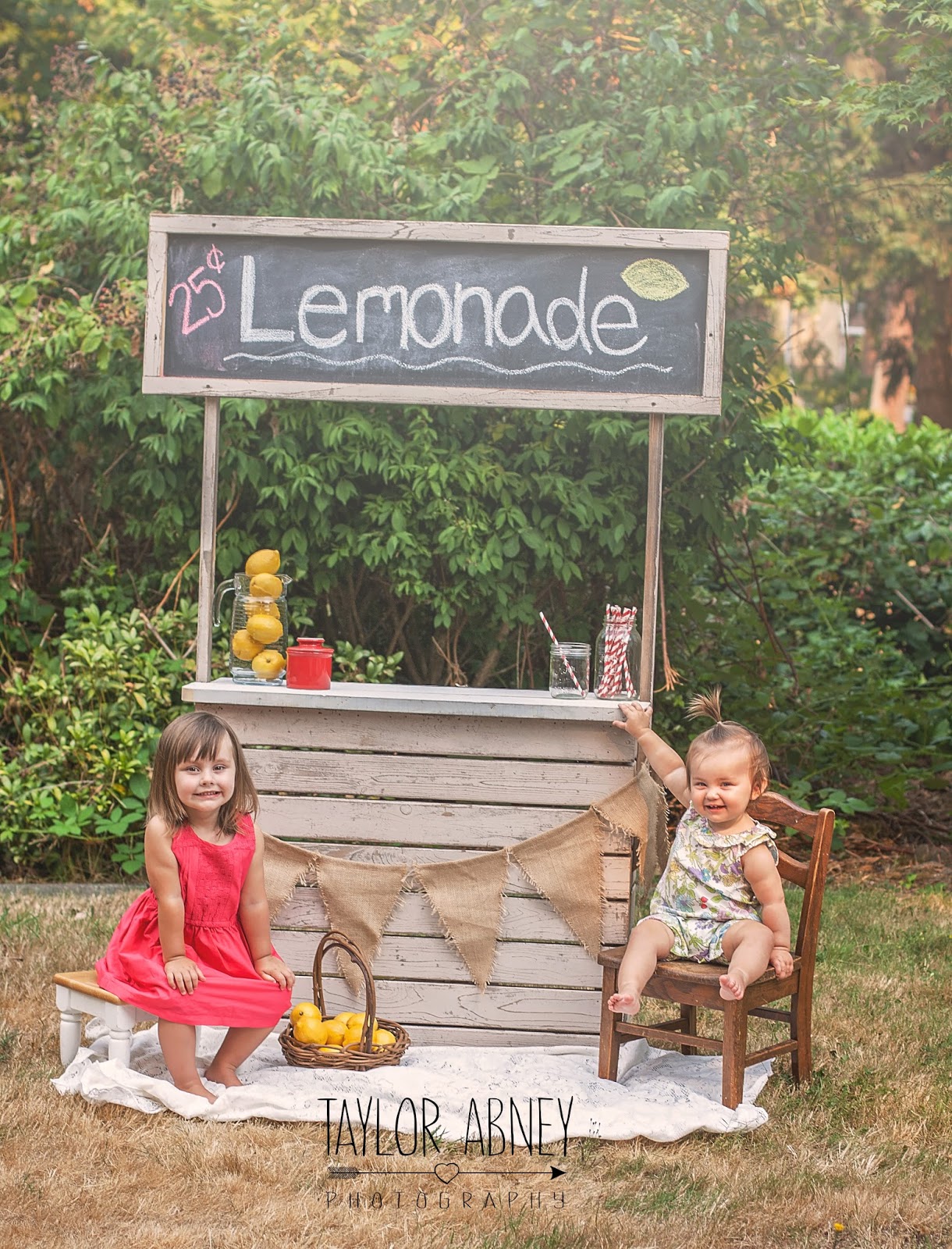 Taylor Abney : Ada & Paige- Lemonade Stand Mini Session