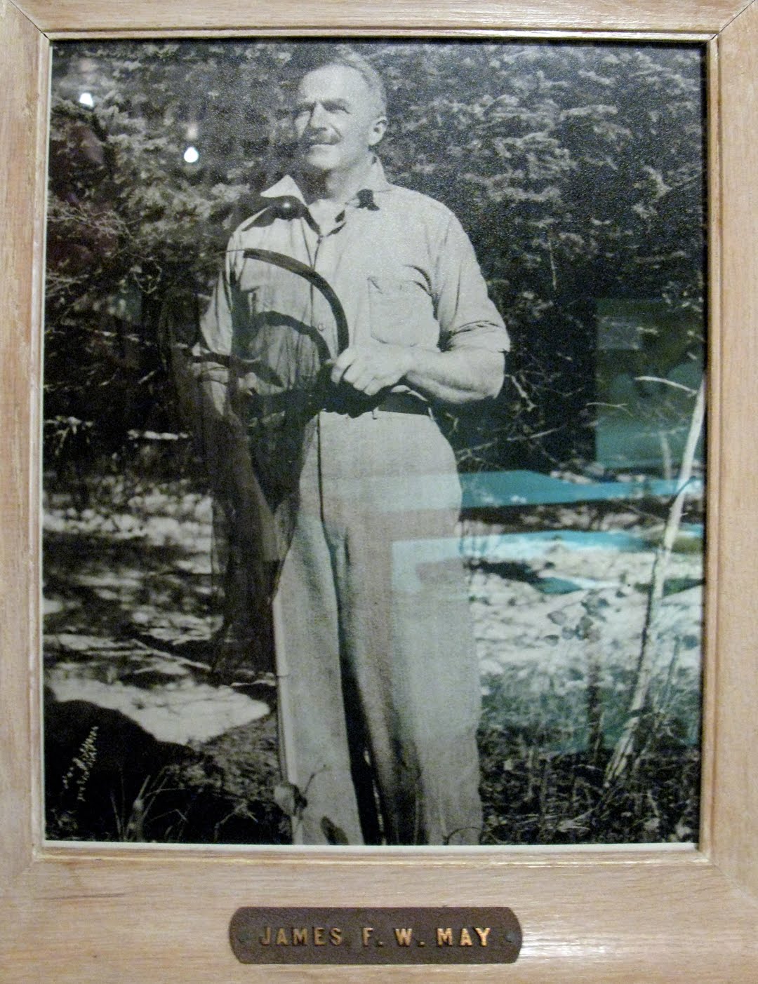 Eccentric Roadside: Meet the beetles: Colorado Springs' May Museum of ...