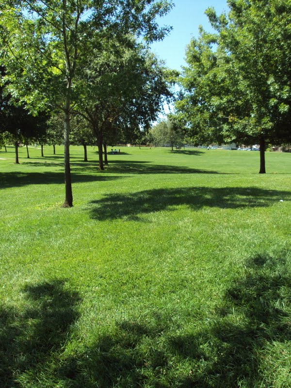 photos and me: July 26, 2011 The Second Day at Foulks Ranch Elementary ...