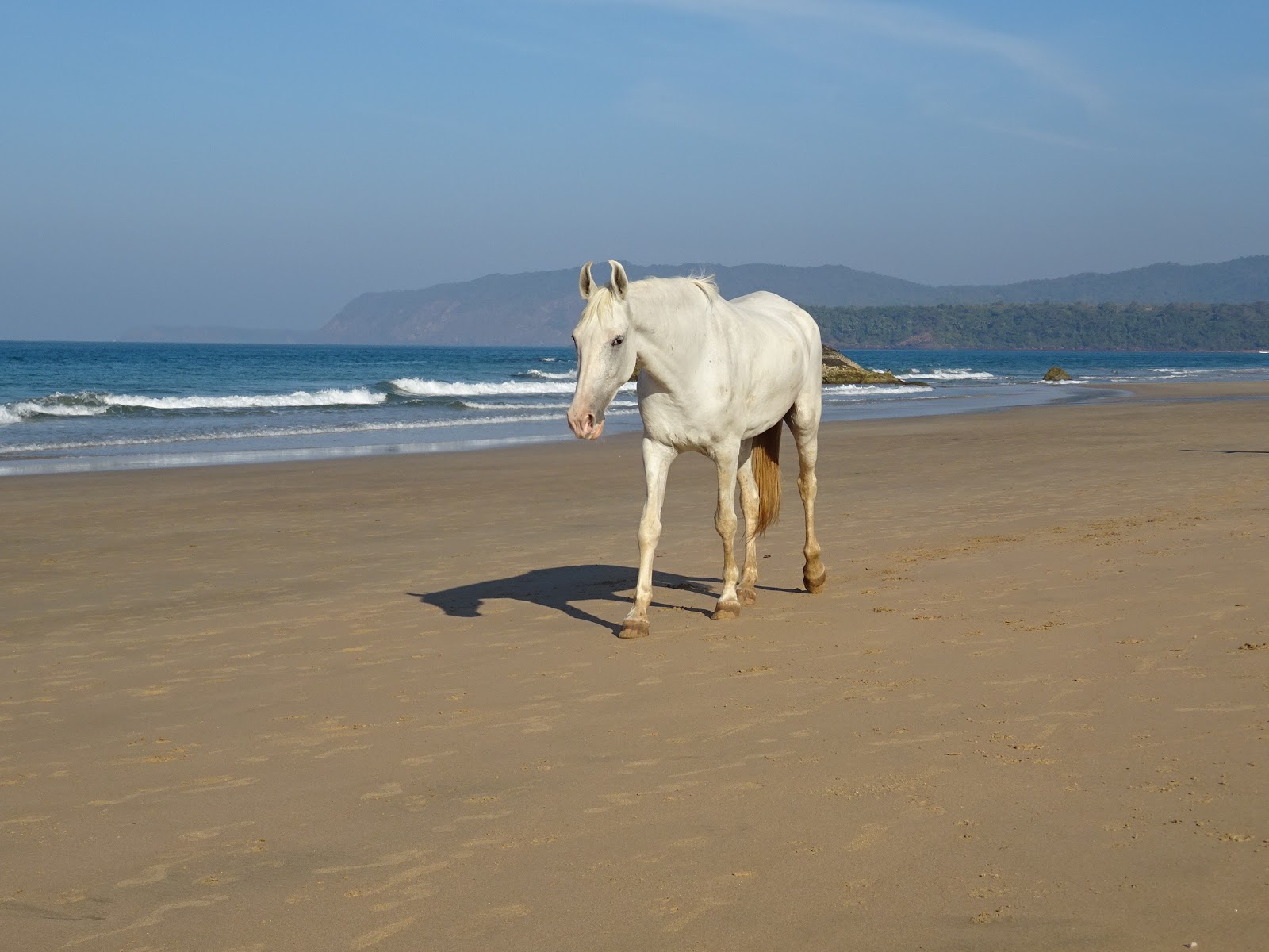 Vintage Vixen: Goan Back To My Roots - Further Adventures In India