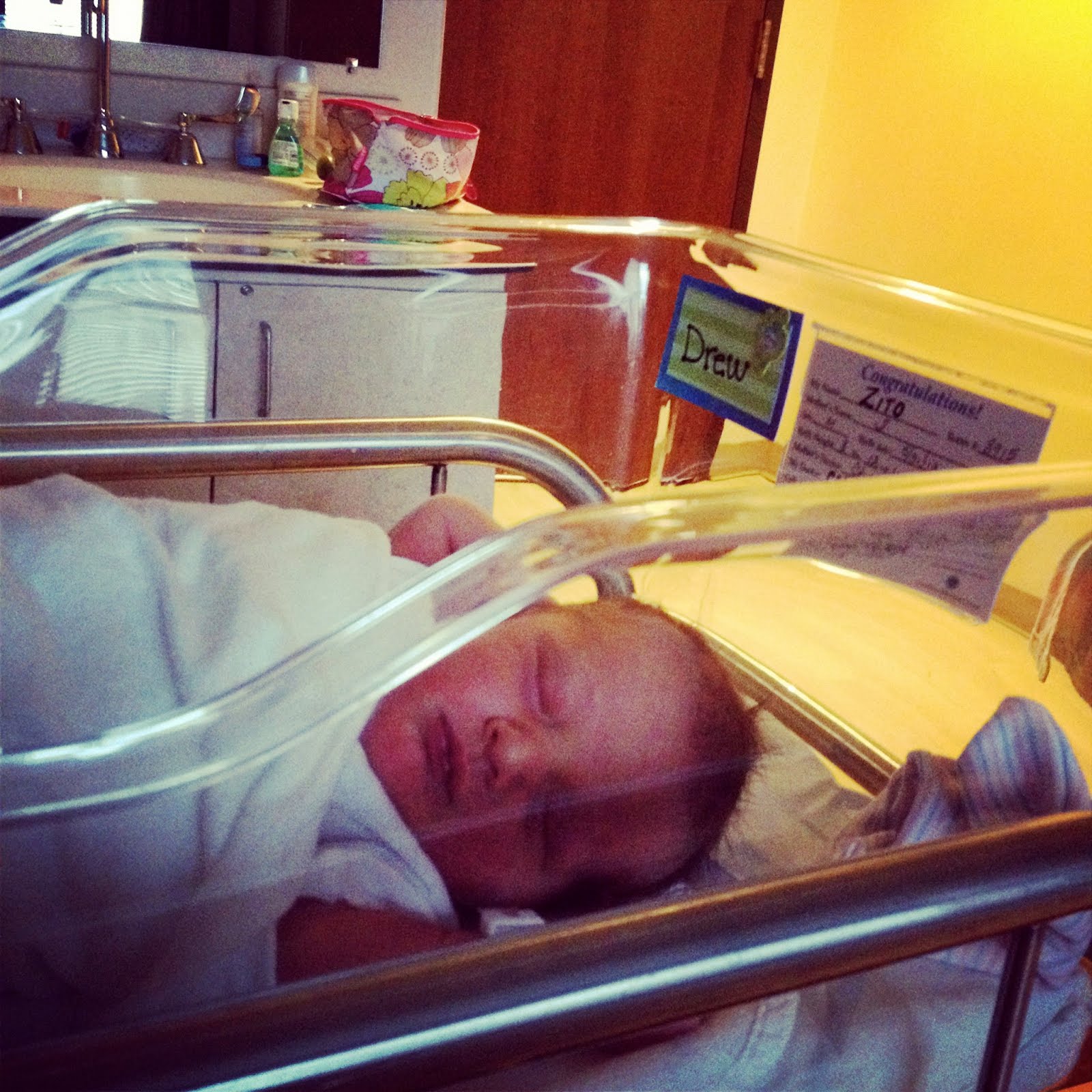 The Zito Family: Andrew "Drew" Scott Zito