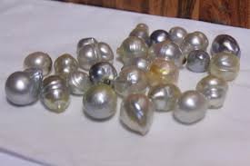 Mutiara Hitam, Mutiara Air Laut - Mutiara Lombok Sasako