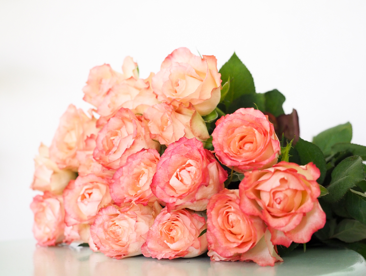 Ruusuinen lauantai — Keltainen kahvipannu