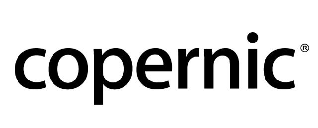 Je Meent Het: Zoeken met Copernic