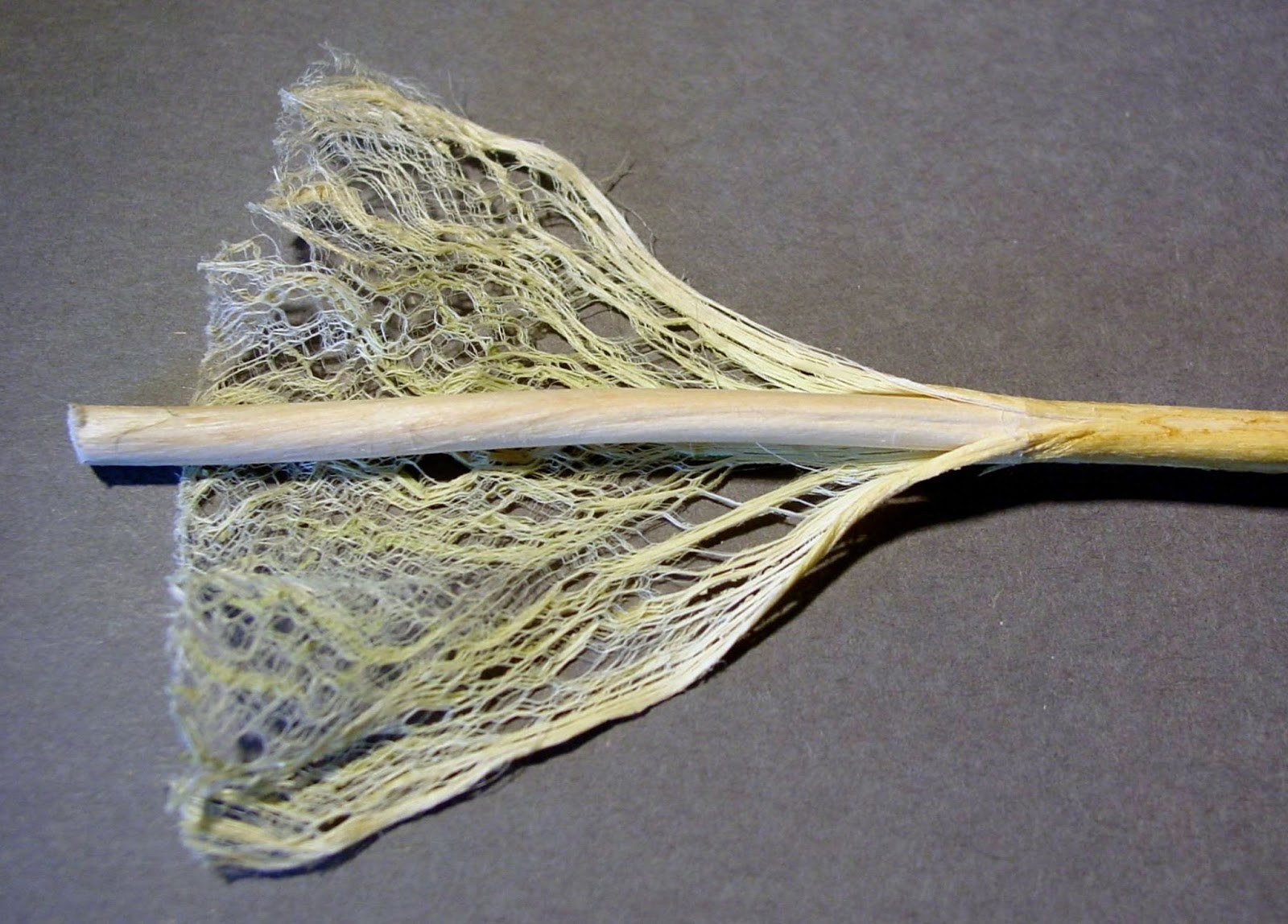 Fashioned by Lyndell