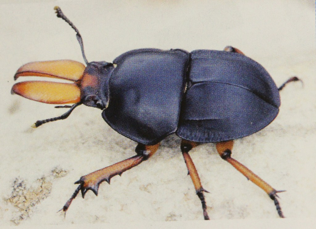 Toyota Enviro Outreach 2012: Day 7: Kogelberg Biosphere