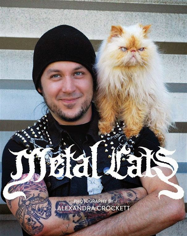 Planet Rock: Metaleros y sus gatos. Metal Cats