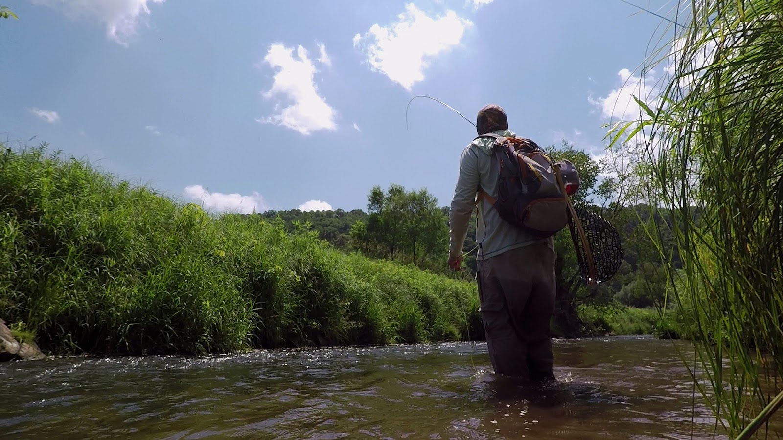 Looknfishy: Fly Fishing The Wisconsin Driftless