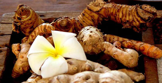 Manfaat dan Khasiat Jahe secara Herbal - Tips Seputar Kesehatan