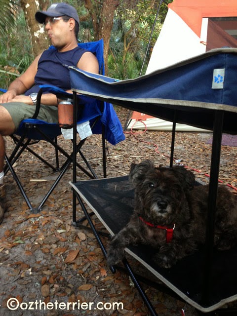 Outdoor Gear: Quik Shade Pet Shade | Oz the Terrier - Lifestyle Dog Blog