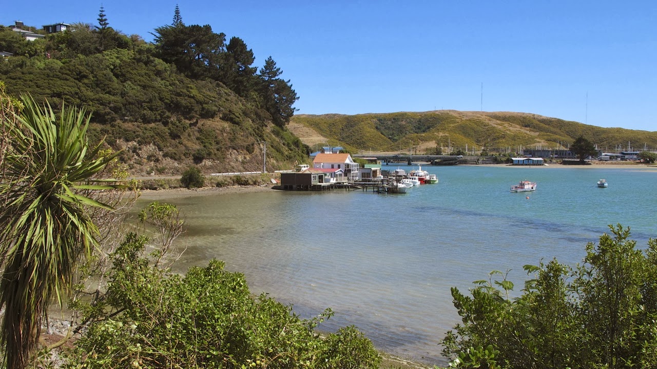 Dizzy's folding bike: Around the Pauatahanui Inlet