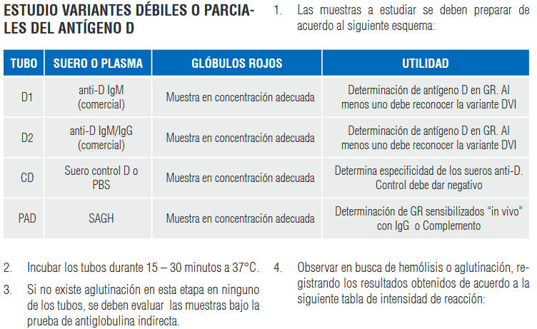 Clase Factor Rh y sistema Kell