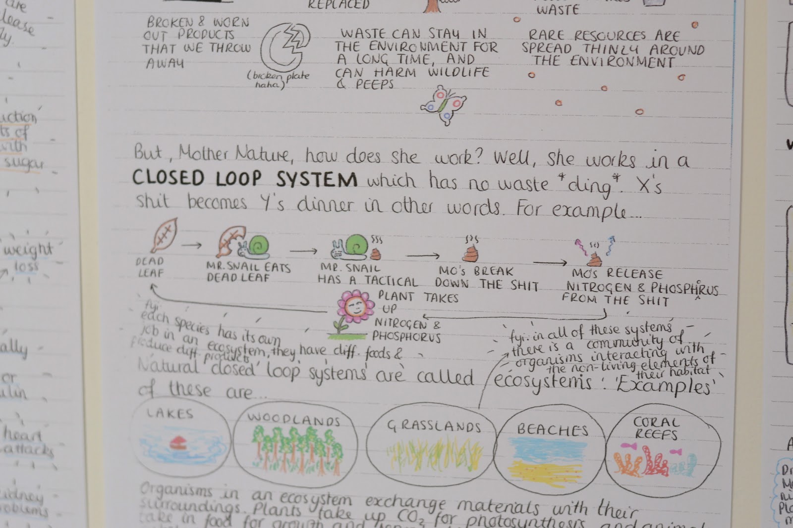 How To Make Good Revision Cards - StudyWise - GCSE & A-Level Revision ...