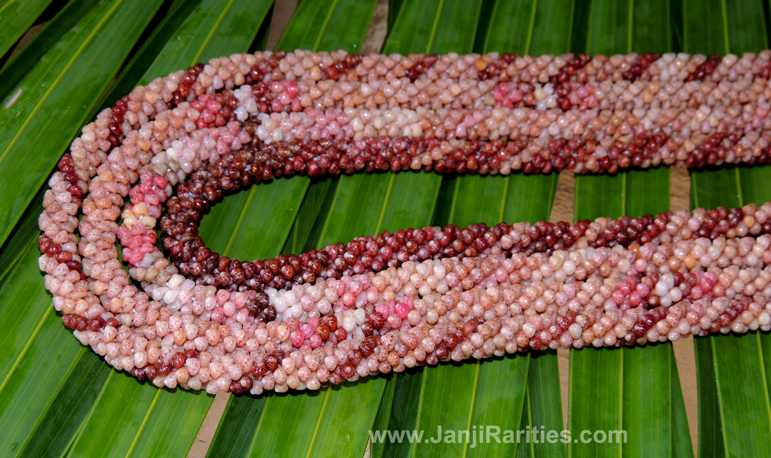 Kahelelani & Sunrise shell jewelry by.... Janjira: Kahelelani Rope ...