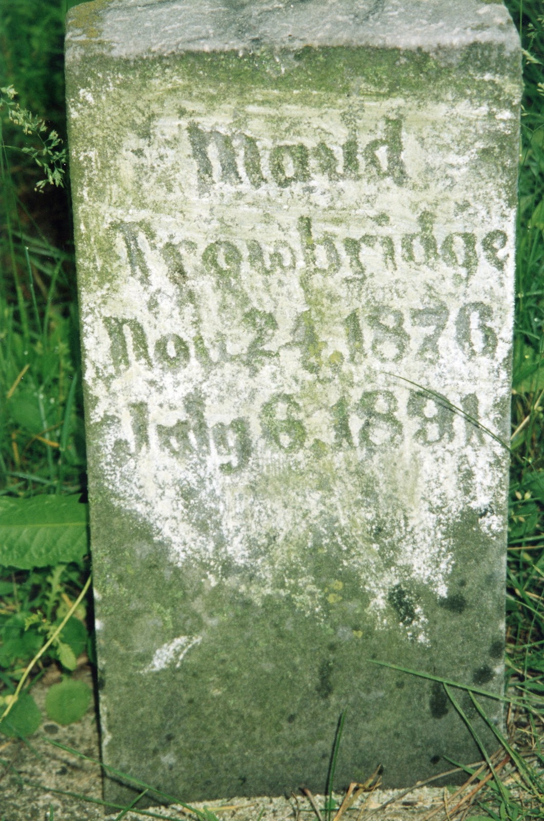 Old Stones Undeciphered: Tombstone Tuesday: Phoebe Maud Trowbridge