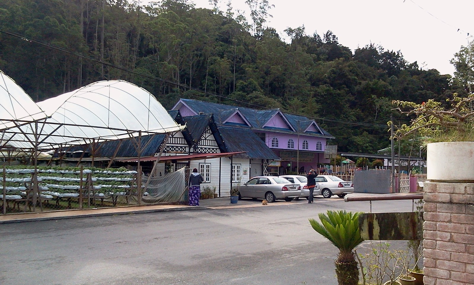 Ros Chalet , Cameron Highland (Tanah Rata , Taman Sedia)