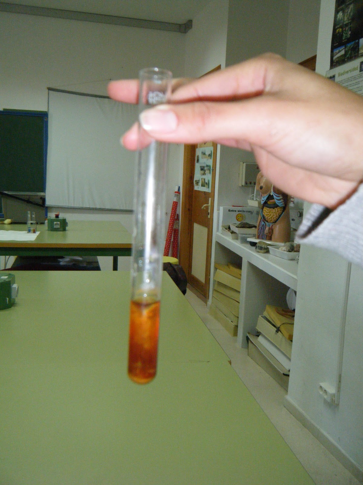 luz: Poder reductor en glúcidos