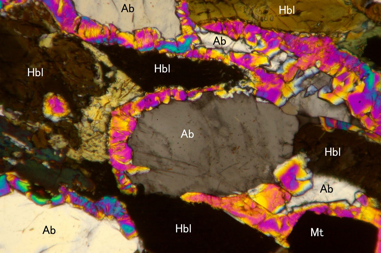 Metabasites: Epidote-rimmed albite and sieve-textured hornblende in ...