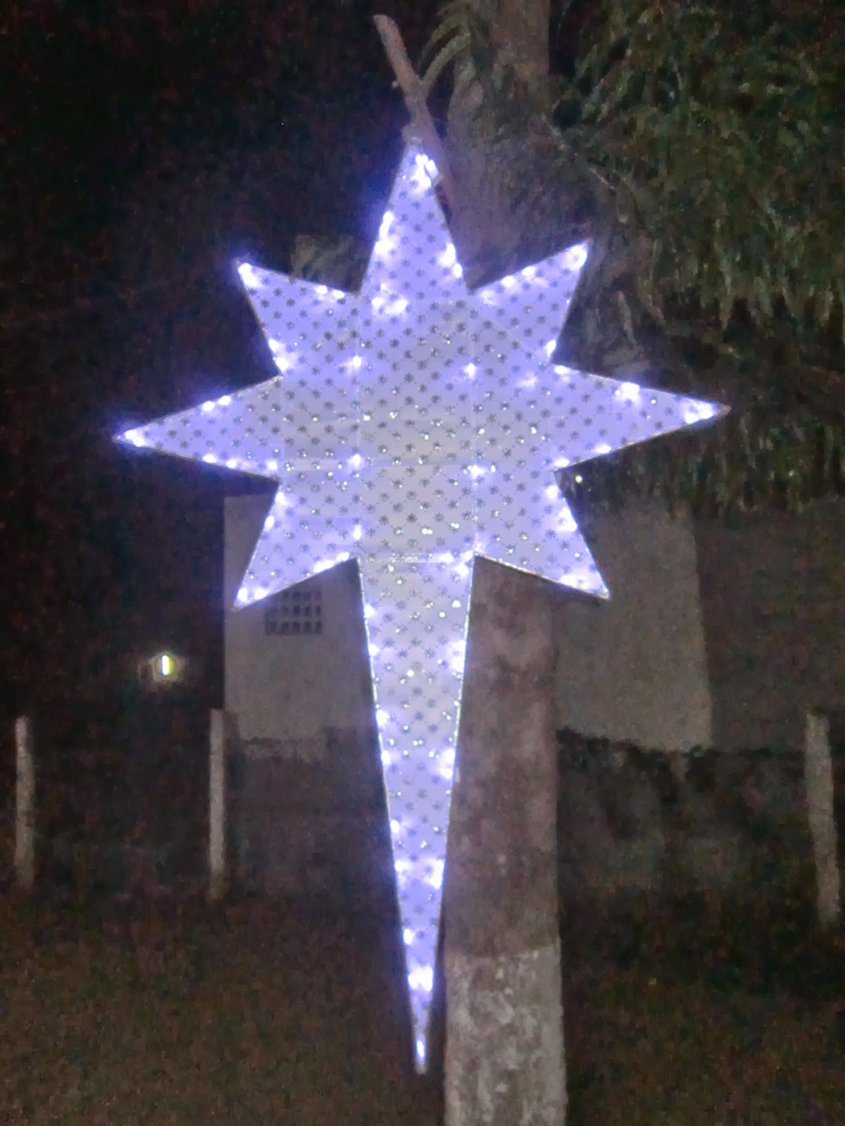 Jerusalem Unit - Infant Jesus Church: Christmas Star Competition 2013
