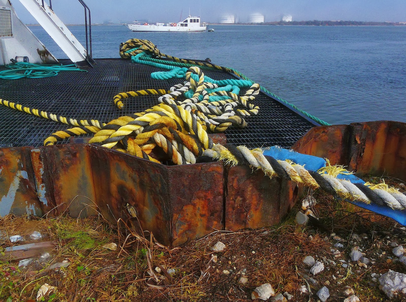 Lurching on Dry Land: Kinda Sorta on the Way to Florida