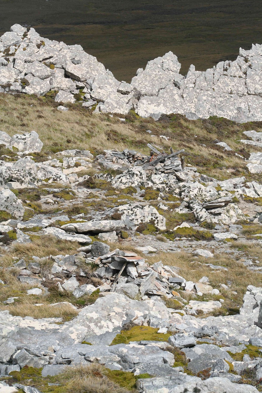 Big Falkland's Adventure: Mount Longdon