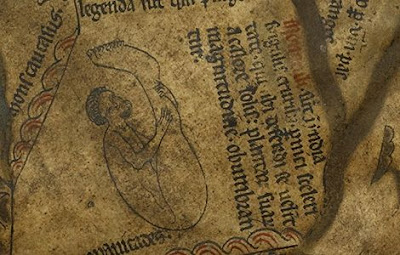 Dragão Bêbado: As Criaturas Mais Temidas Da Idade Média - Skiapodes