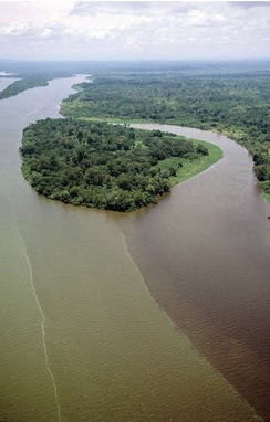 Reserva Ecológica Manglares Cayapas Mataje – Turismo en Ecuador Costa Norte