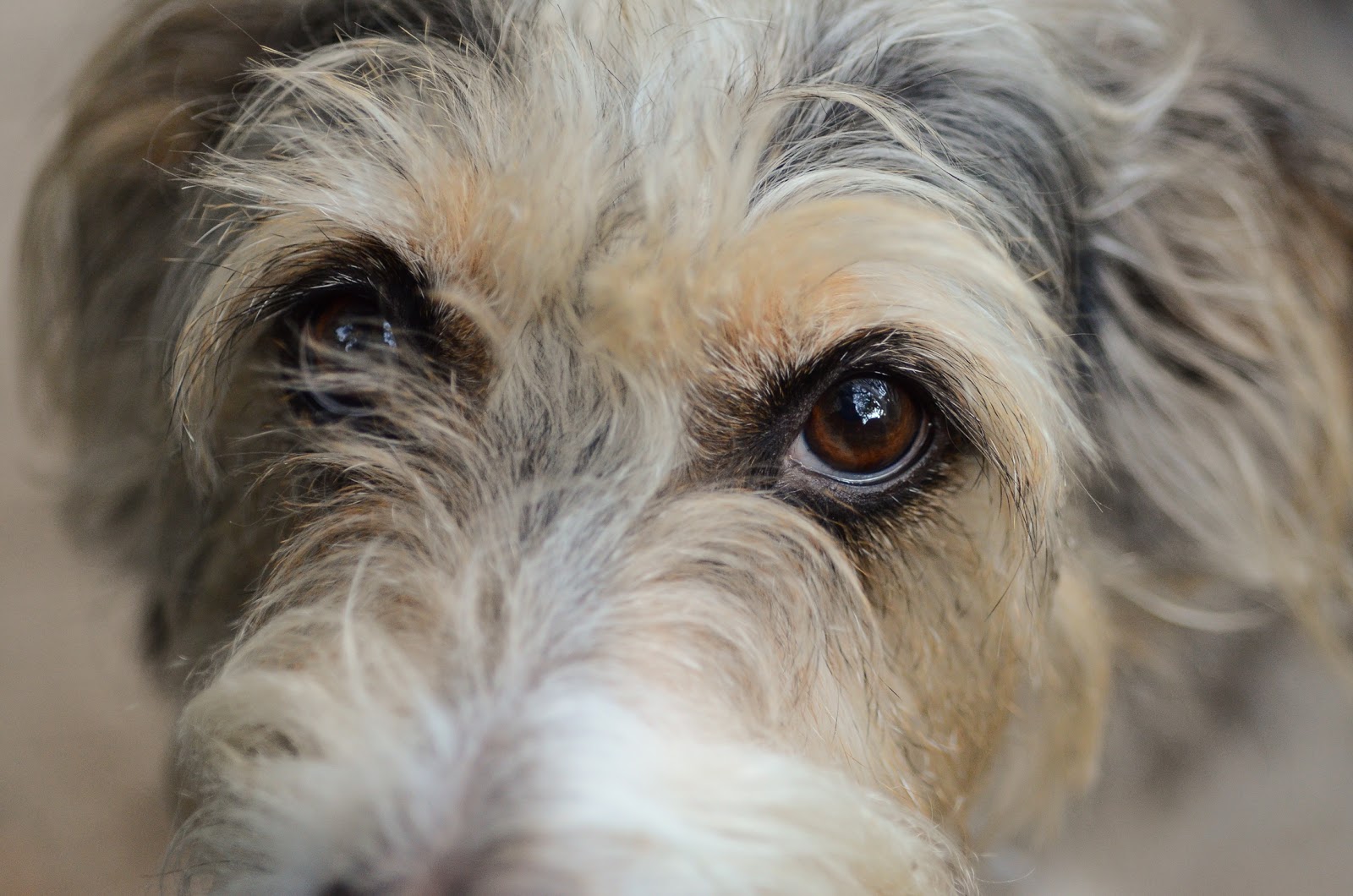 The Visual Science Lab / Kirk Tuck: Eye Contact. Something I like very ...