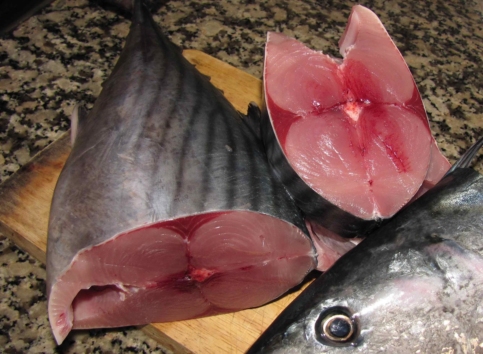 PaperFish - Fish Biology in progress..: Bioaccumulo e biomagnificazione ...