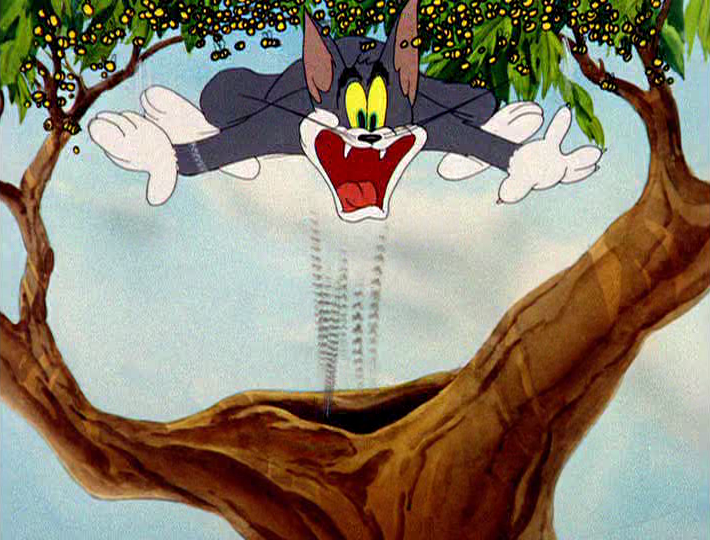 Tralfaz: Bee is for Cat