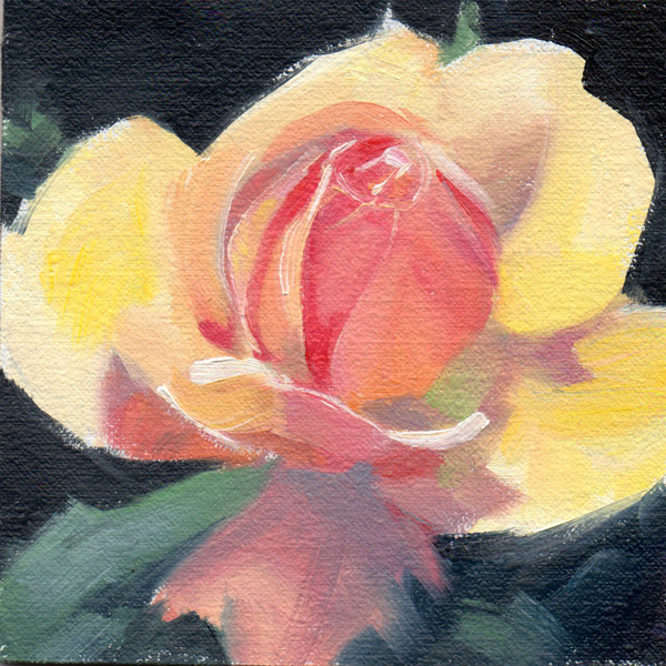 Barbara Fox Art Studio: FLOWER ALlA PRIMA oil paintings