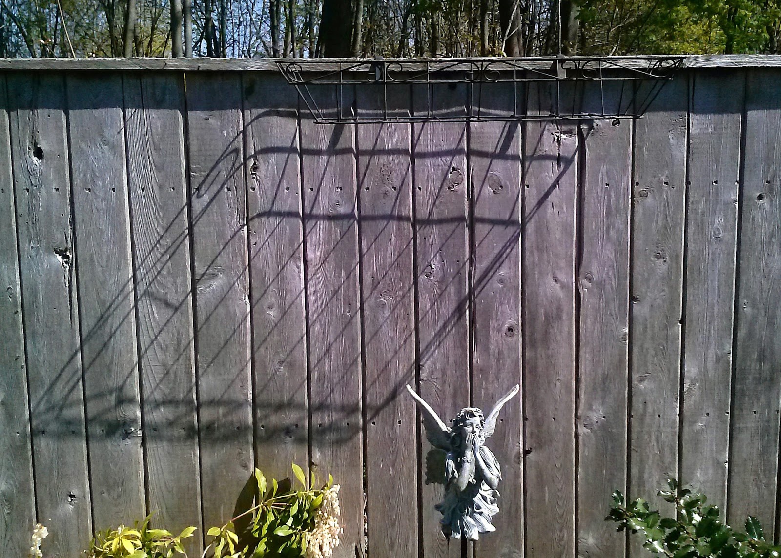 Fence Shadows