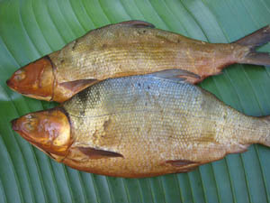 Smoked Milkfish (Recipe) | Read The Net