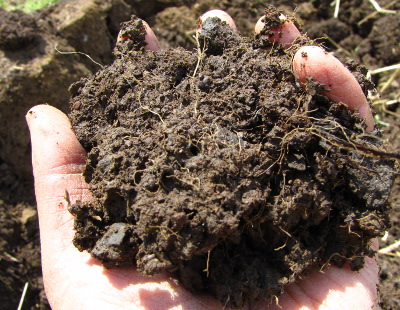 Benefits of Organic Matter in Agricultural and Horticultural Soils