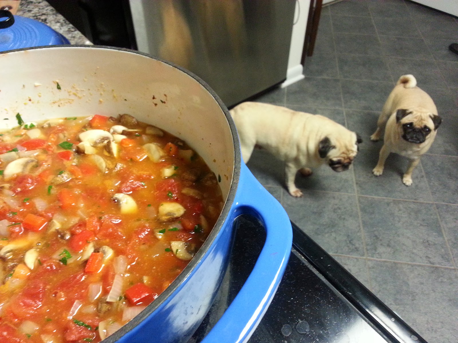 Grubbin' Pugs: Fish and Shrimp Stew with Tomatoes