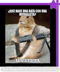 Fotos Chistosisimas: La Rata y Su Metralleta