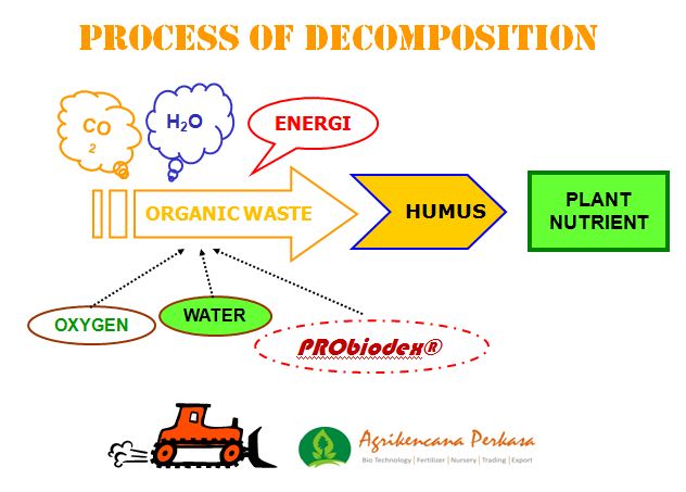 KimintekHijau.com: Faktor Dekomposisi