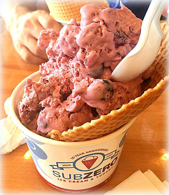 Sub Zero Ice Cream: The Allergy-Friendly Ice Cream | #SubZeroIceCream ...