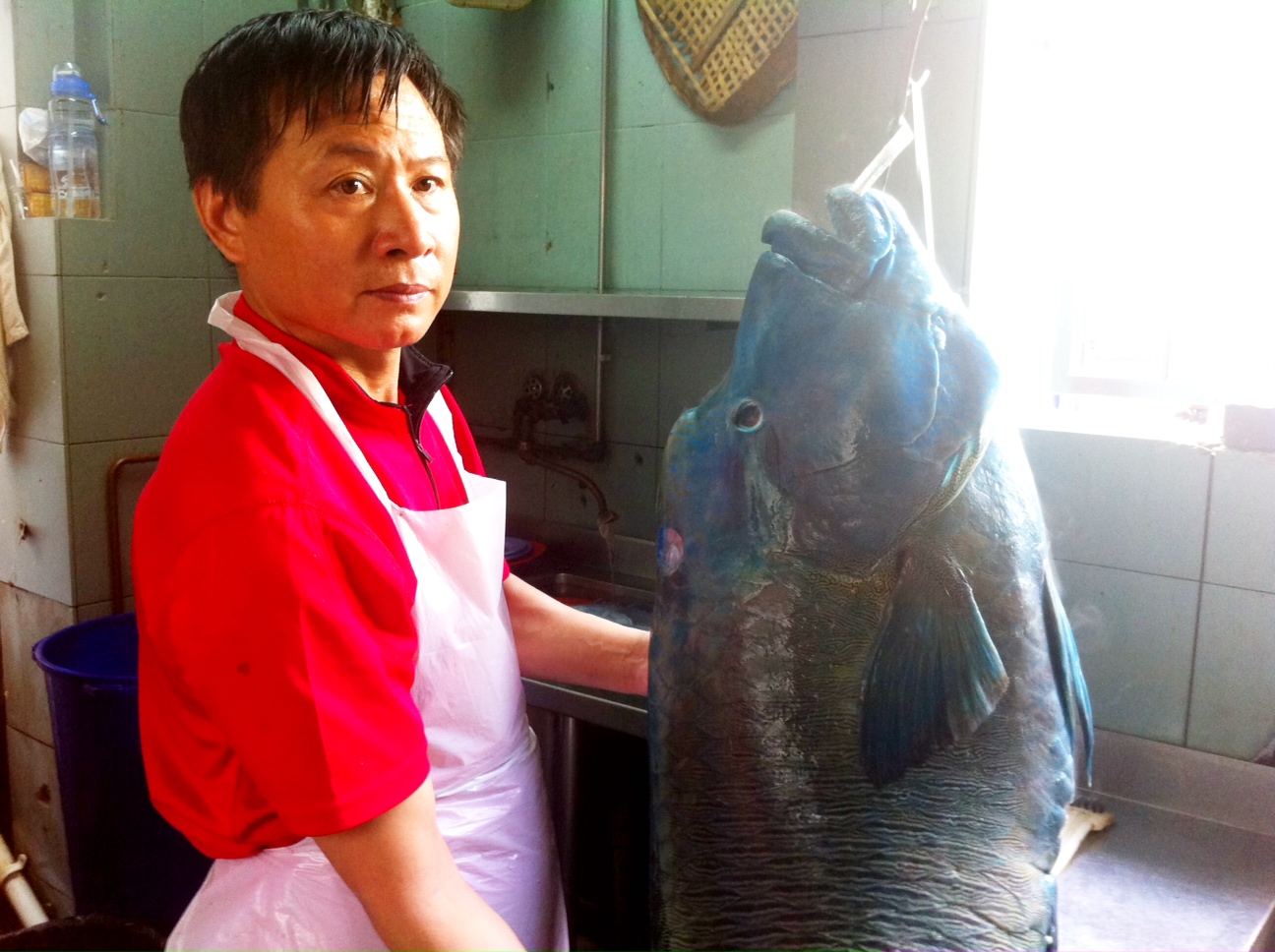 The Silver Chef: Zai Shun Curry Fish Head at Jurong East - Forget Me ...