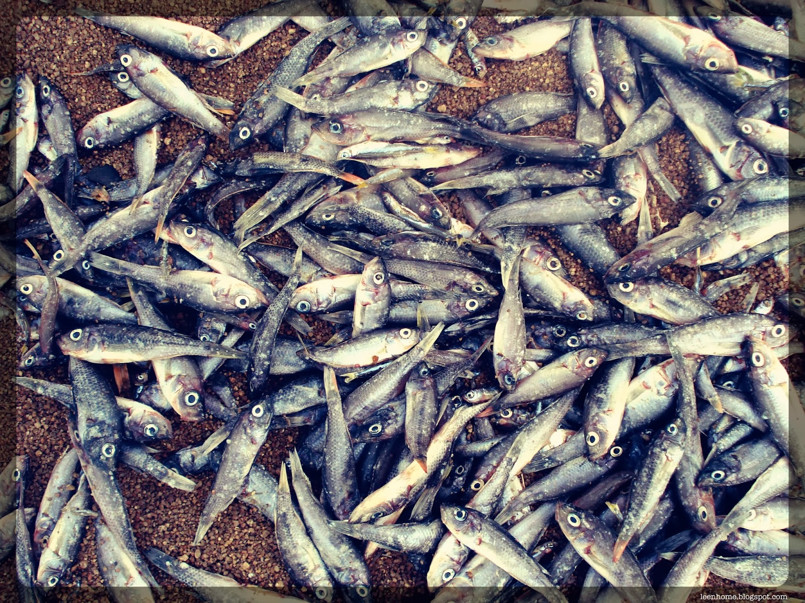 exploring rocks and water. | From Tanzania With Love