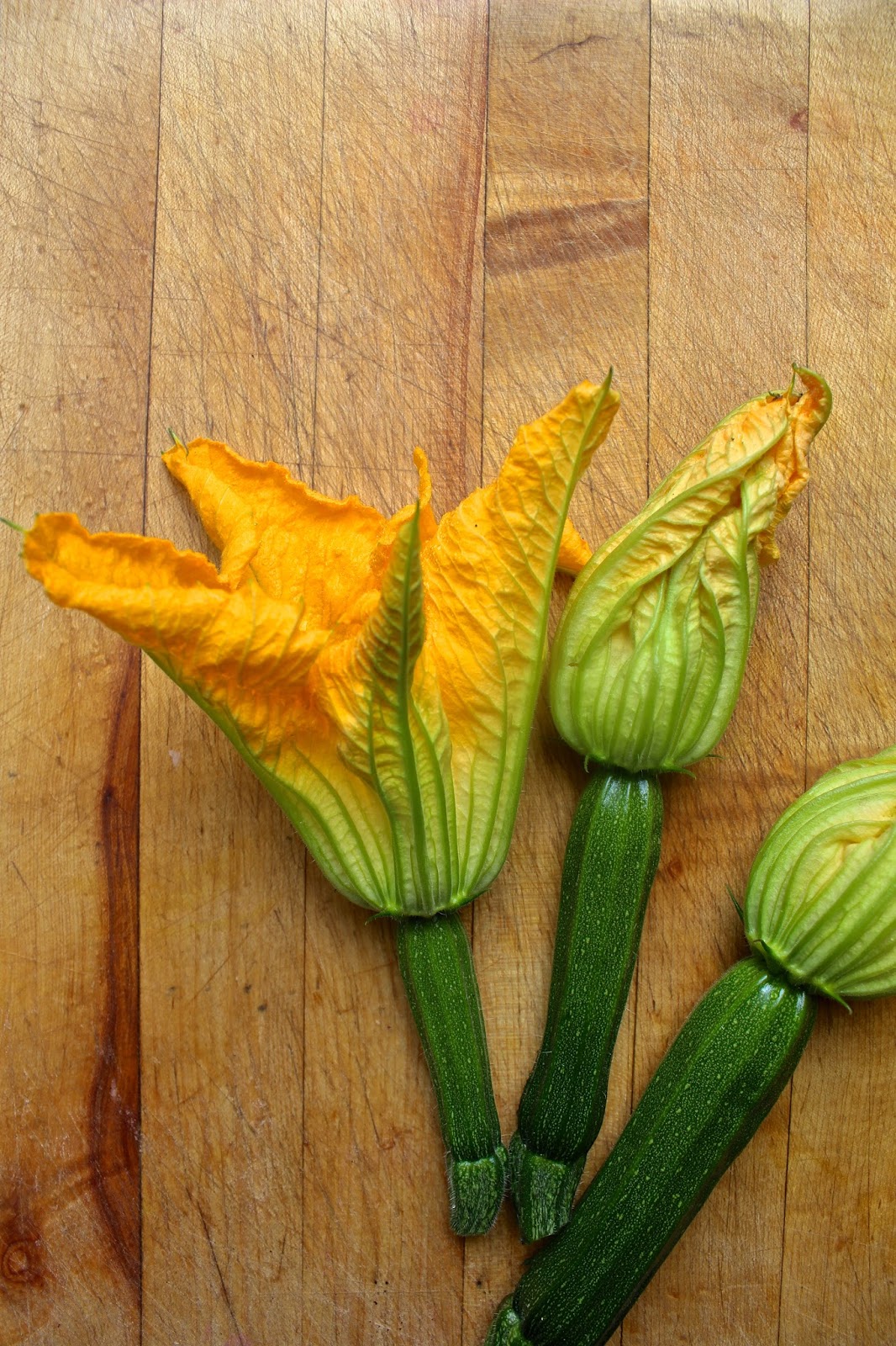 Sam Cooks Food: Squid with baby courgettes, samphire and marjoram