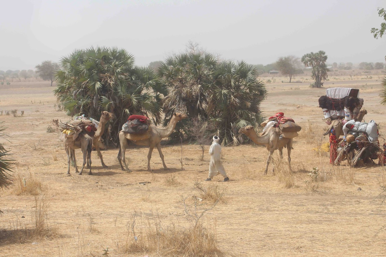 Navegando de ceñida