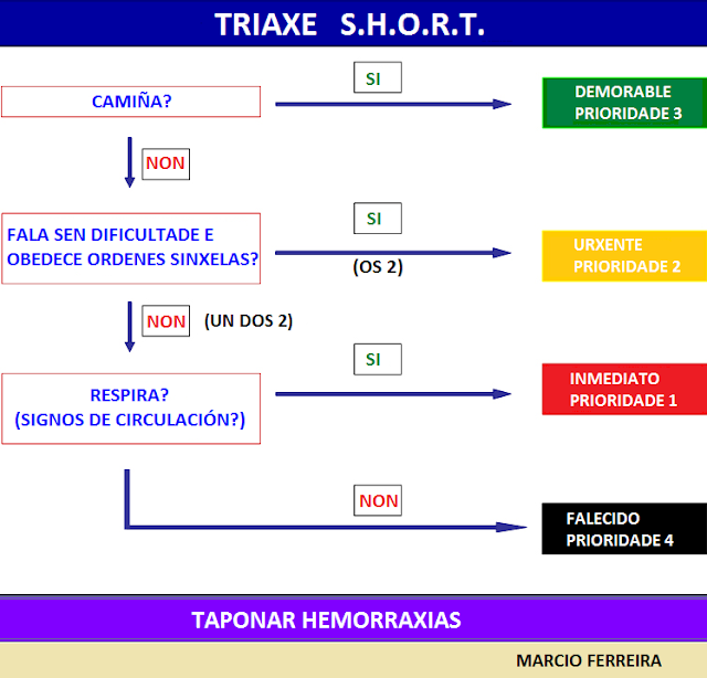 24 TES: Despregamento e sectorización.