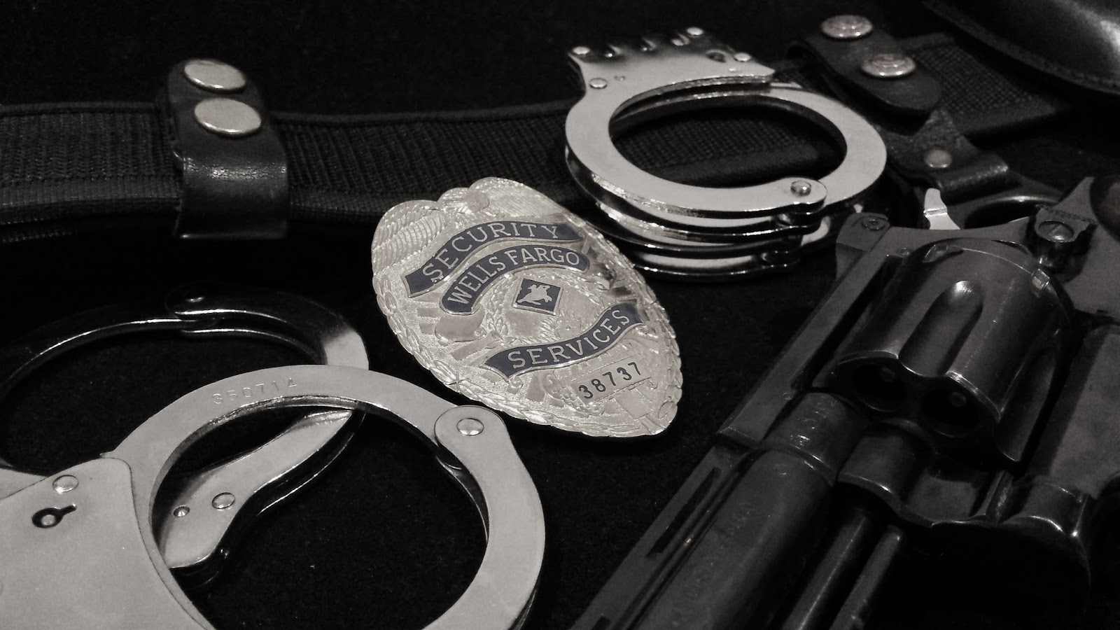 usa police badges: 2016