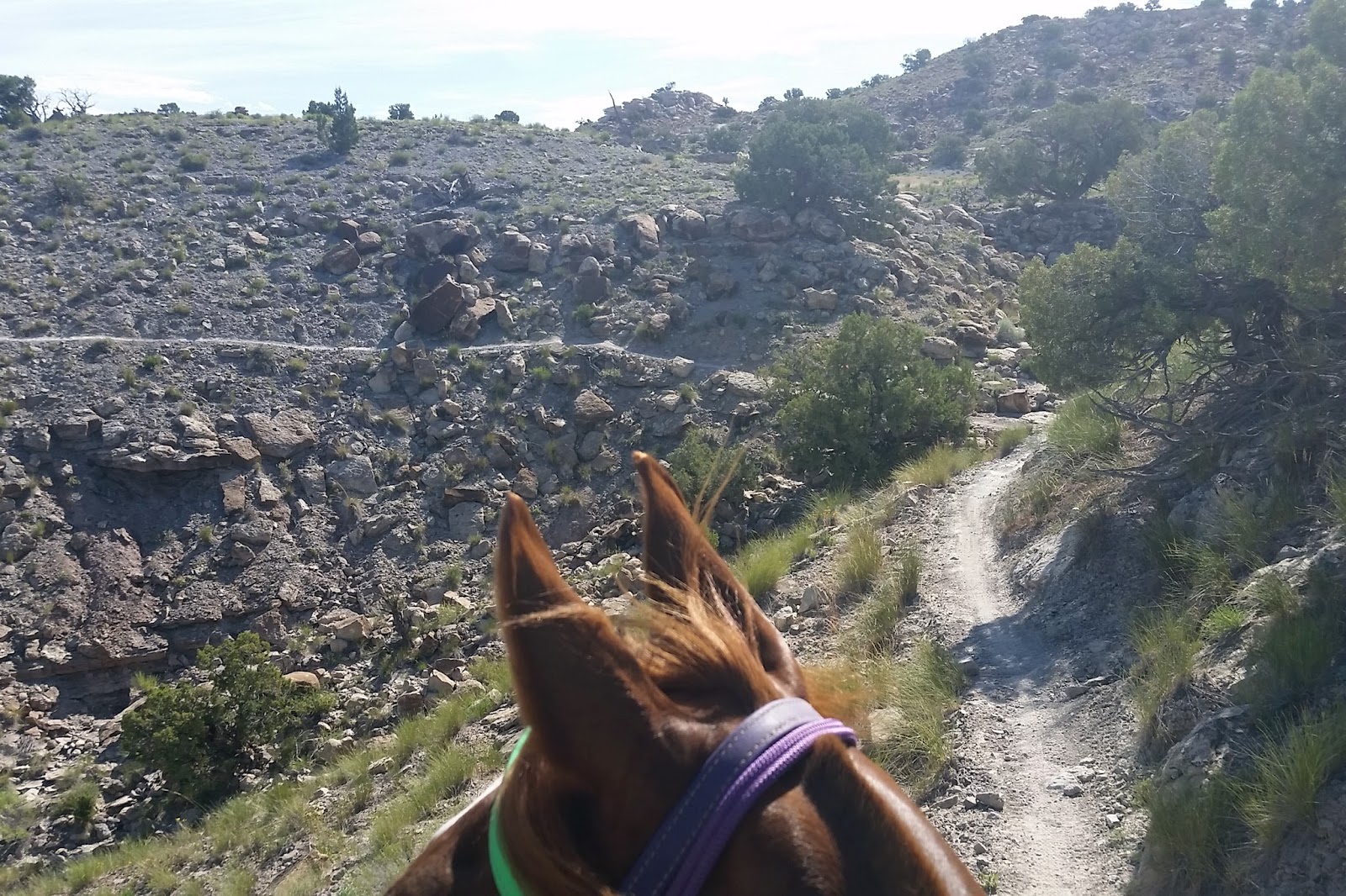 Lazy G Ranch: Our Grand Adventure: Ninth Stop