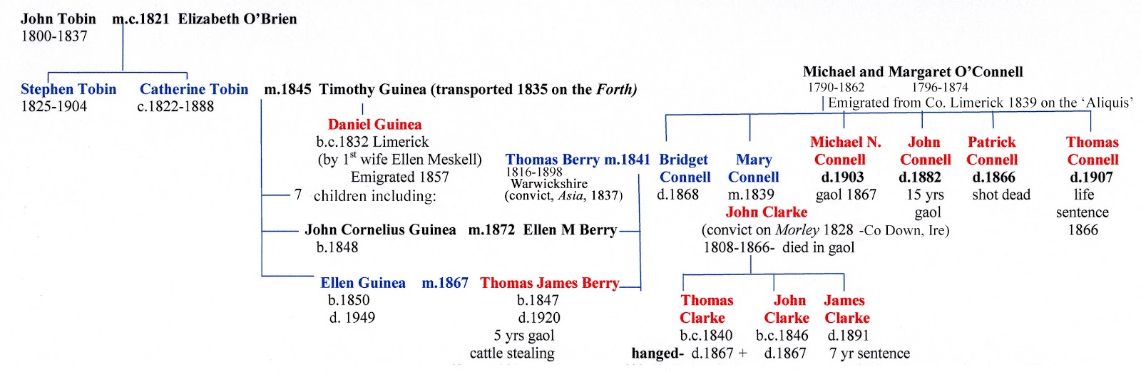 Tobin Family History: Stephen Tobin- Ch:8- Bushrangers in the family