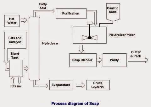 Soap and Detergent: Soap & Detergent