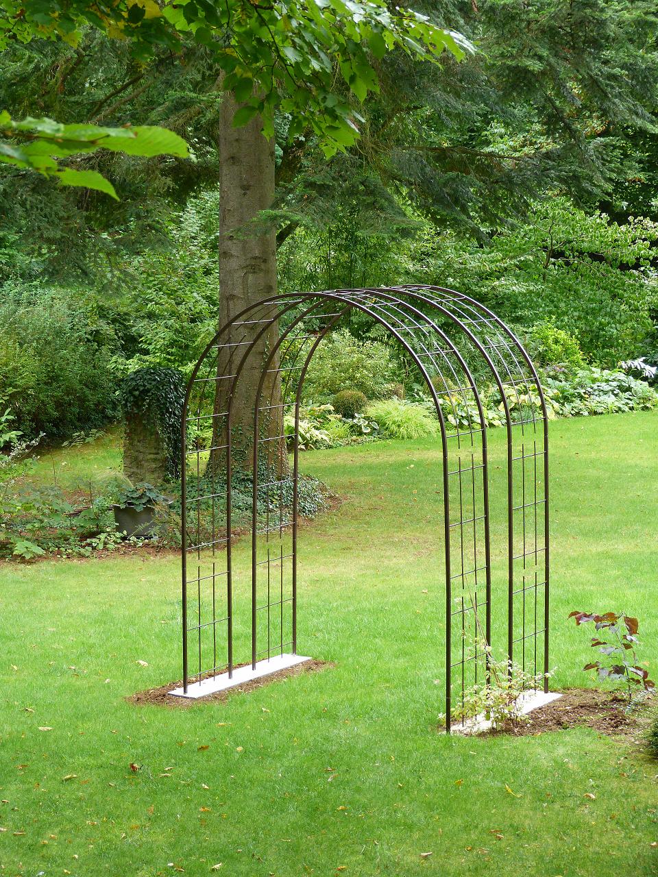 Les Pins Noirs: Nouvel arceau, nouvelles plantations