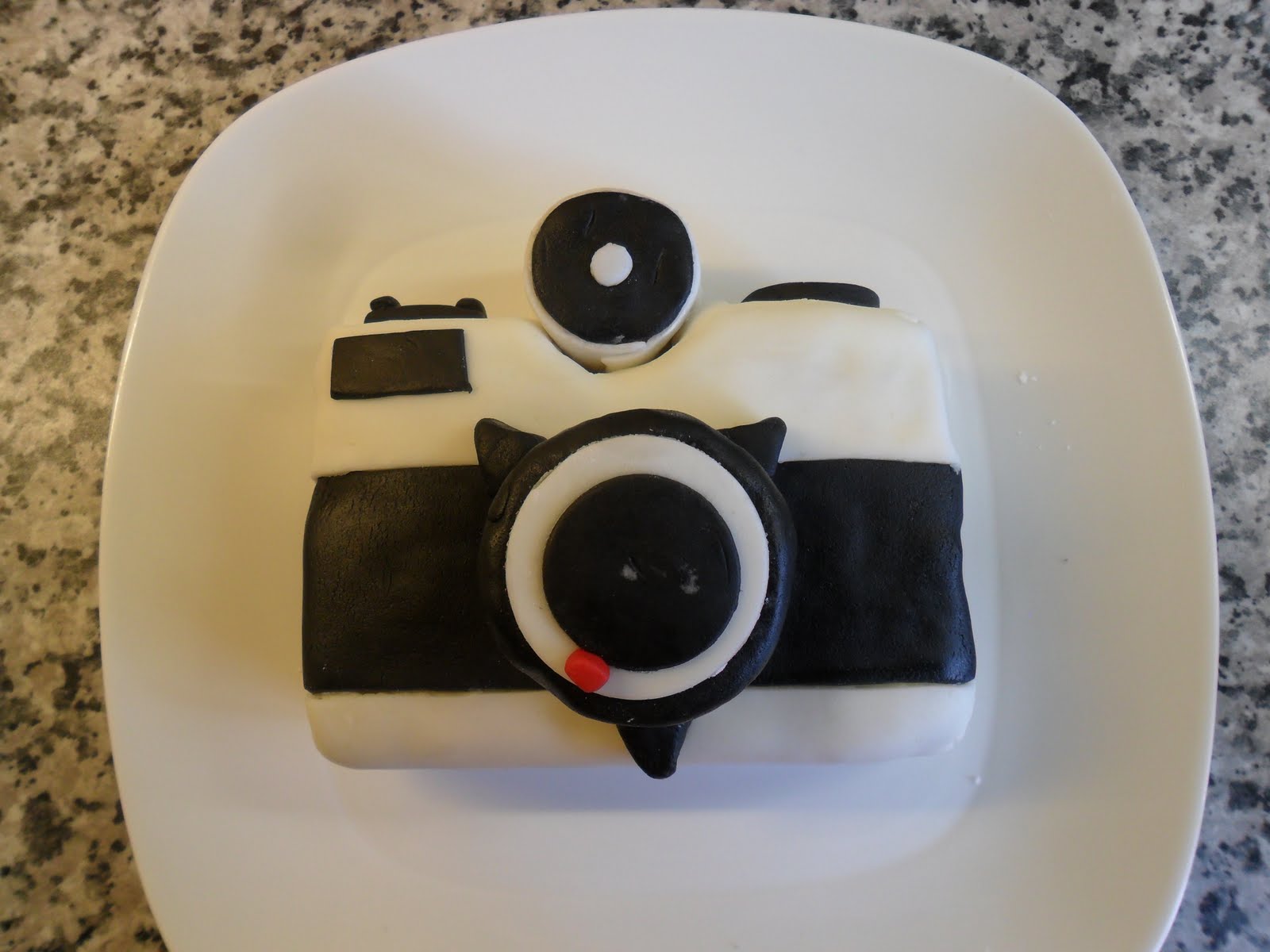 Cake Design by Fiona Robertson: Fuji Pet Inspired Camera Cake